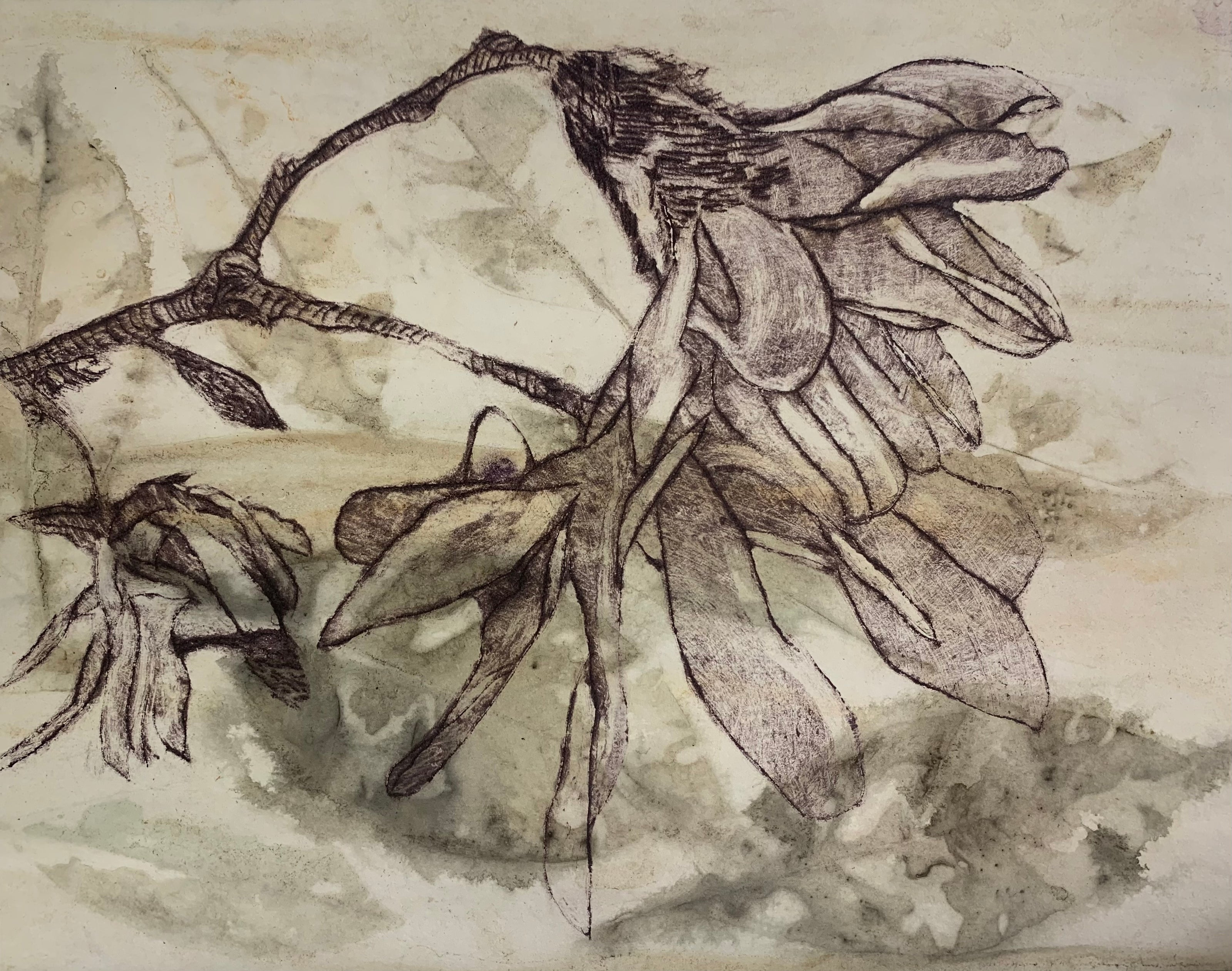 Current Shows – Remarque Print Workshop